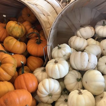 FOUR TOWN FARM - Updated September 2025 - 129 Photos & 87 Reviews - 90 ...