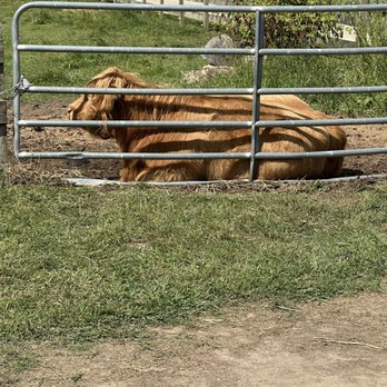 SALISBURY FARM - Updated January 2026 - 103 Photos & 37 Reviews - 11 ...