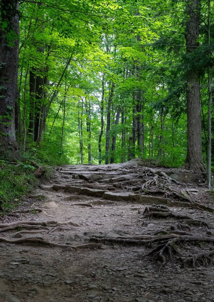 PINE GROVE TRAIL - Updated December 2024 - 801 Truxell Rd, Peninsula ...