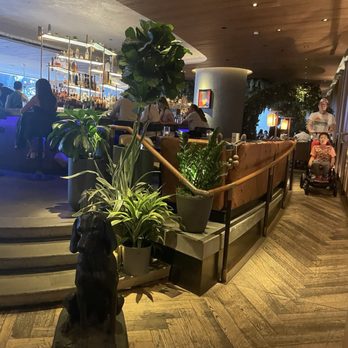 Reviews of QUEENSYARD - Updated September 2024 - 1612 Photos & 576 ...