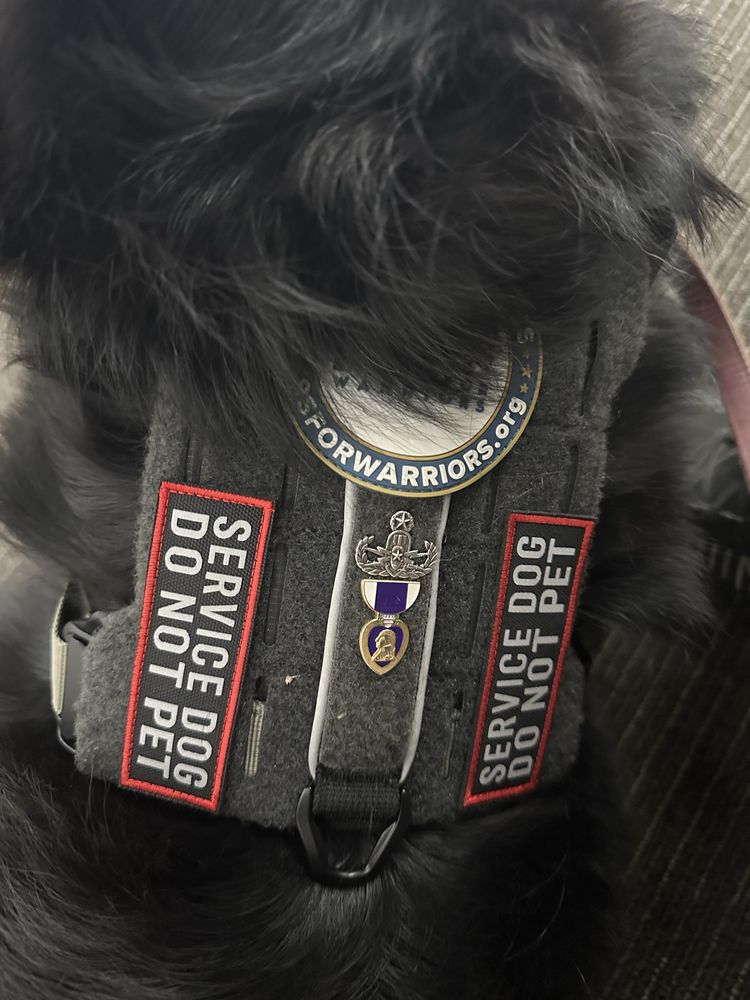 TROPHY CLUB ANIMAL HOSPITAL - Updated December 2025 - 12 Photos & 29 ...