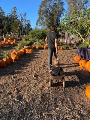 CRYSTAL BAY FARM - Updated July 2025 - 157 Photos & 75 Reviews - 40 ...