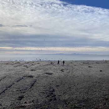 GOLETA BEACH PARK - Updated December 2024 - 291 Photos & 85 Reviews ...