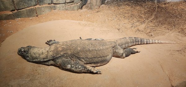 TULSA ZOO - Updated December 2025 - 551 Photos & 145 Reviews - 6421 E ...