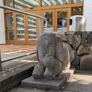 STRATFORD LIBRARY ASSOCIATION - Updated October 2025 - 15 Photos - 2203 ...