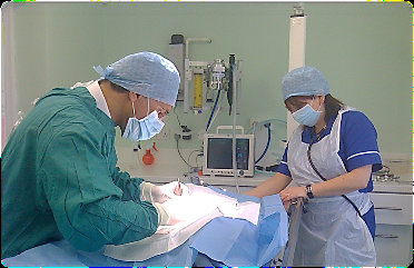 SUNRISE VETERINARY SURGERY - 6-6a The Common, Parbold, Lancashire ...