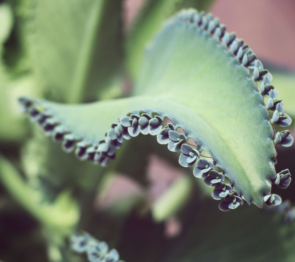 GREENSCAPE GARDENS - TEMP. CLOSED - 101 Photos & 34 Reviews - 2832 ...