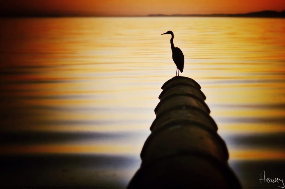 SEAN R. HEAVEY PHOTOGRAPHY - Updated November 2025 - 14 Photos - 529 ...