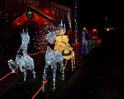 CHESTNUT CHRISTMAS LIT HOUSES - Updated December 2025 - 435 Photos & 70 ...