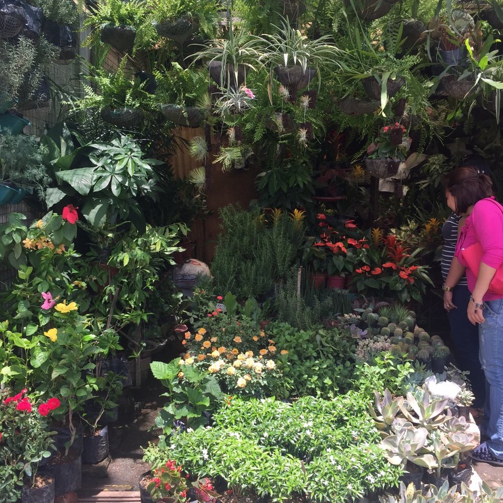 Flower Gateway Cubao | Best Flower Site