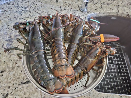 CHARLOTTE FISH DEPOT - Updated January 2026 - 14 Photos - 23440 Janice ...