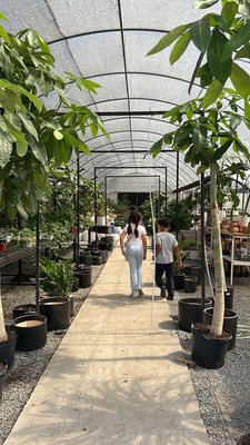 TORO NURSERY - Updated October 2025 - 116 Photos & 92 Reviews - 17585 ...