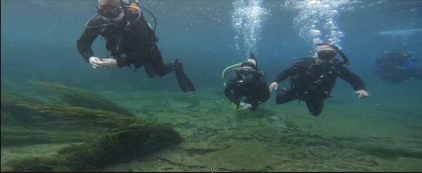 ATLANTIC PRO DIVERS - Updated June 2025 - 138 Photos & 27 Reviews - 314 ...