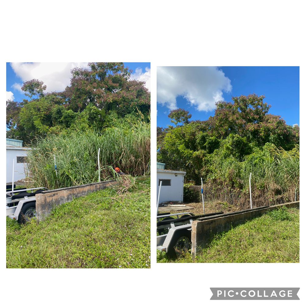 ADAM’S TREE AND STUMP CARE - Updated October 2025 - 10 Photos & 12 ...