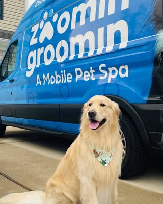 ZOOMIN GROOMIN - Updated July 2024 - 20 Photos - Cape Coral, Florida ...