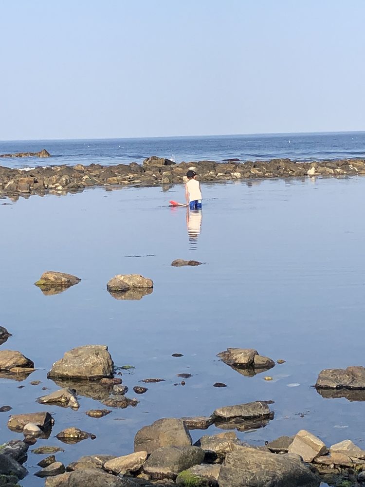 JENNESS STATE BEACH - Updated August 2025 - 16 Photos - 2280 Ocean Blvd ...