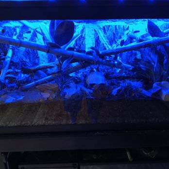 THE BIO DUDE - Updated January 2026 - 75 Photos & 45 Reviews - 15116 ...