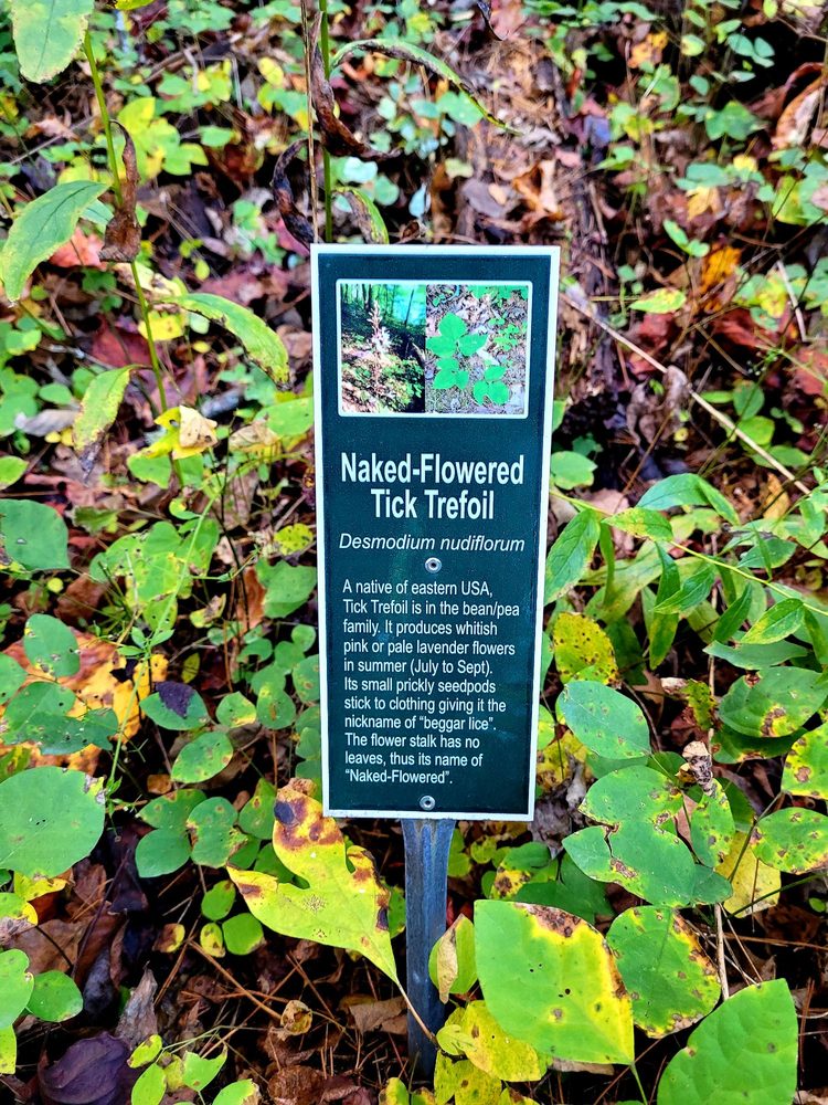 JACKRABBIT MOUNTAIN BIKE TRAILS - Updated October 2025 - 34 Photos & 13 ...