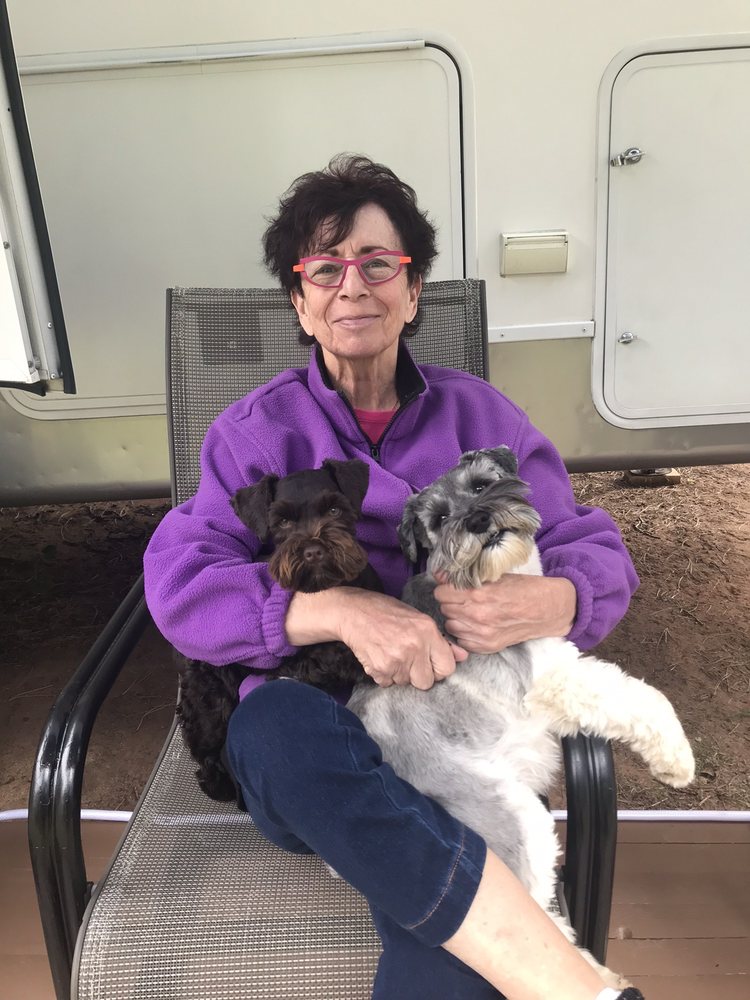 COMPASSION ANIMAL HOSPITAL - Updated July 2024 - 16 Reviews - 312 W ...