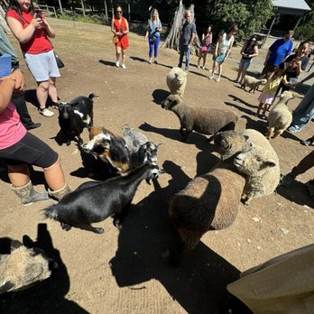 ENCHANTED FARMS - Updated October 2025 - 110 Photos & 24 Reviews ...