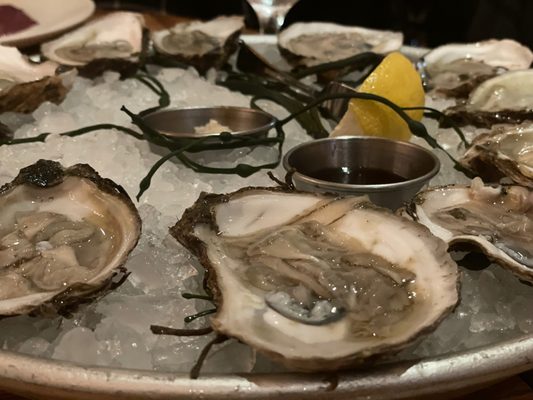 ESTIA - Updated May 2024 - 388 Photos & 284 Reviews - 222 N Radnor ...