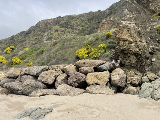 SYCAMORE COVE BEACH - Updated October 2025 - 199 Photos & 35 Reviews ...
