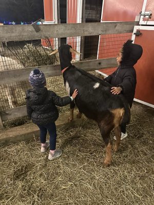 PARKY’S FARM - Updated January 2026 - 20 Photos - 10037 Daly Rd ...