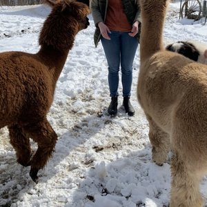 LAKE COUNTY OUTDOOR FAMILY CENTER YMCA - Updated August 2025 - 4540 ...