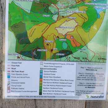 MERCK FOREST & FARMLAND CENTER - Updated December 2025 - 19 Photos & 13 ...
