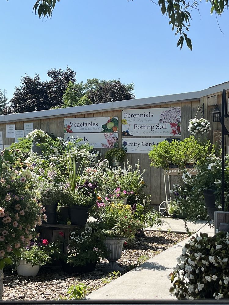 FAIRVIEW GARDENS - Updated August 2025 - 32 Photos - 429 Fairview Ave ...