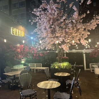 PAPPA GALLO - Updated December 2025 - 419 Photos & 221 Reviews - 273 ...