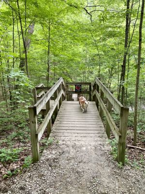 HOGBACK RIDGE PRESERVE - Updated October 2025 - 73 Photos & 11 Reviews ...