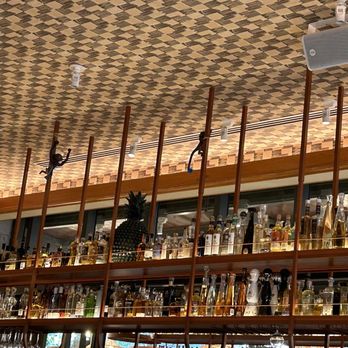 KOKO - Updated June 2024 - 308 Photos & 163 Reviews - 2856 Tigertail ...