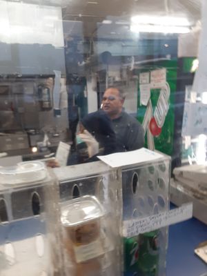 WHALE FISH & CHICKEN - Updated February 2025 - 11 Photos & 12 Reviews ...