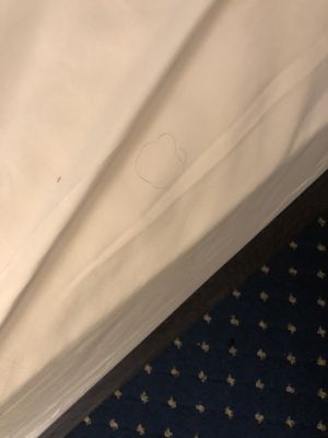 QUALITY INN BOSTON-REVERE - Updated December 2025 - 42 Photos & 37 ...