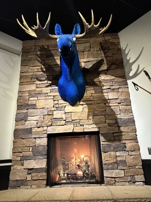 BLUE MOOSE - Updated September 2024 - 129 Photos & 241 Reviews - 10064 ...