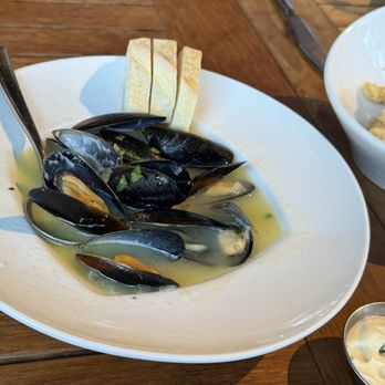 TORO KITCHEN + BAR - Updated November 2025 - 233 Photos & 169 Reviews ...