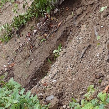 ANDRE LANDSCAPE SERVICE - Updated January 2026 - 26 Photos & 41 Reviews ...