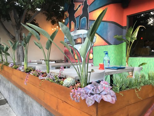 CAJÉ COFFEE ROASTERS - ISLA VISTA - Updated July 2025 - 269 Photos ...