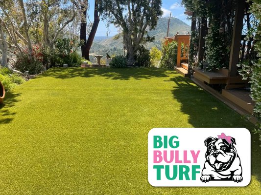BIG BULLY TURF - Updated December 2025 - 64 Photos & 30 Reviews - 6565 ...