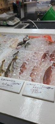 WILLINGHAM SEAFOOD COMPANY - Updated April 2025 - 61 Photos & 20 ...