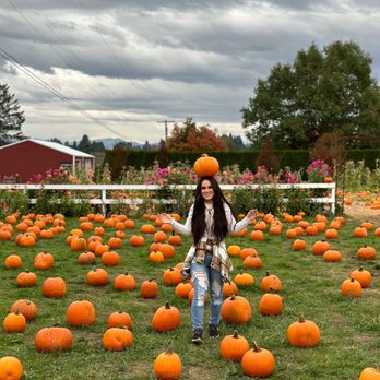 DOLAN CREEK FARM - Updated December 2025 - 166 Photos & 37 Reviews ...