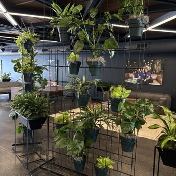 PILOT PROJECT BREWING - MILWAUKEE - Updated December 2025 - 369 Photos ...