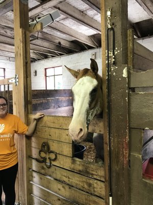 SOLLY STABLES - Updated October 2025 - 40 Photos & 10 Reviews - 1140 ...