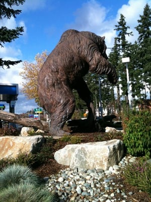 BROWN BEAR CAR WASH - 48 Photos & 73 Reviews - 17809 Redmond Way ...