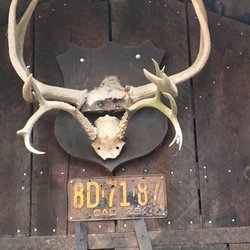 HOUSE OF MYSTERY AT THE OREGON VORTEX - 110 Photos & 71 Reviews - 4303 ...