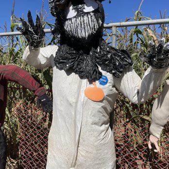 BATES NUT FARM - Updated December 2025 - 1851 Photos & 547 Reviews ...