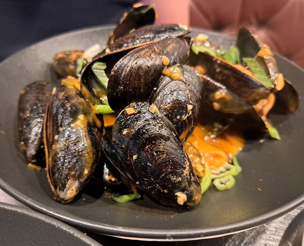 PROHIBITION SOCIAL HOUSE - Updated December 2025 - 44 Photos & 25 ...