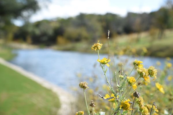 SINGING WATER VINEYARDS - Updated October 2025 - 271 Photos & 109 ...