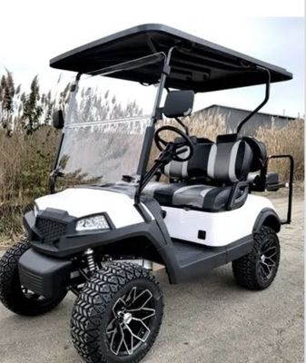KEVIN REED MOTORSPORTS CUSTOM GOLF CARTS - Updated December 2025 - 16 ...